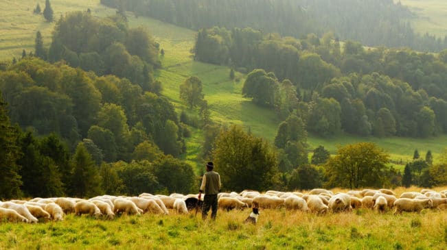 Farming Based on the Bible - Biblical Research Reports